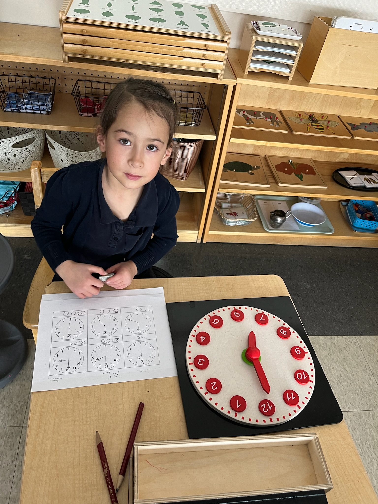 Maria Montessori Education Centre in Calgary